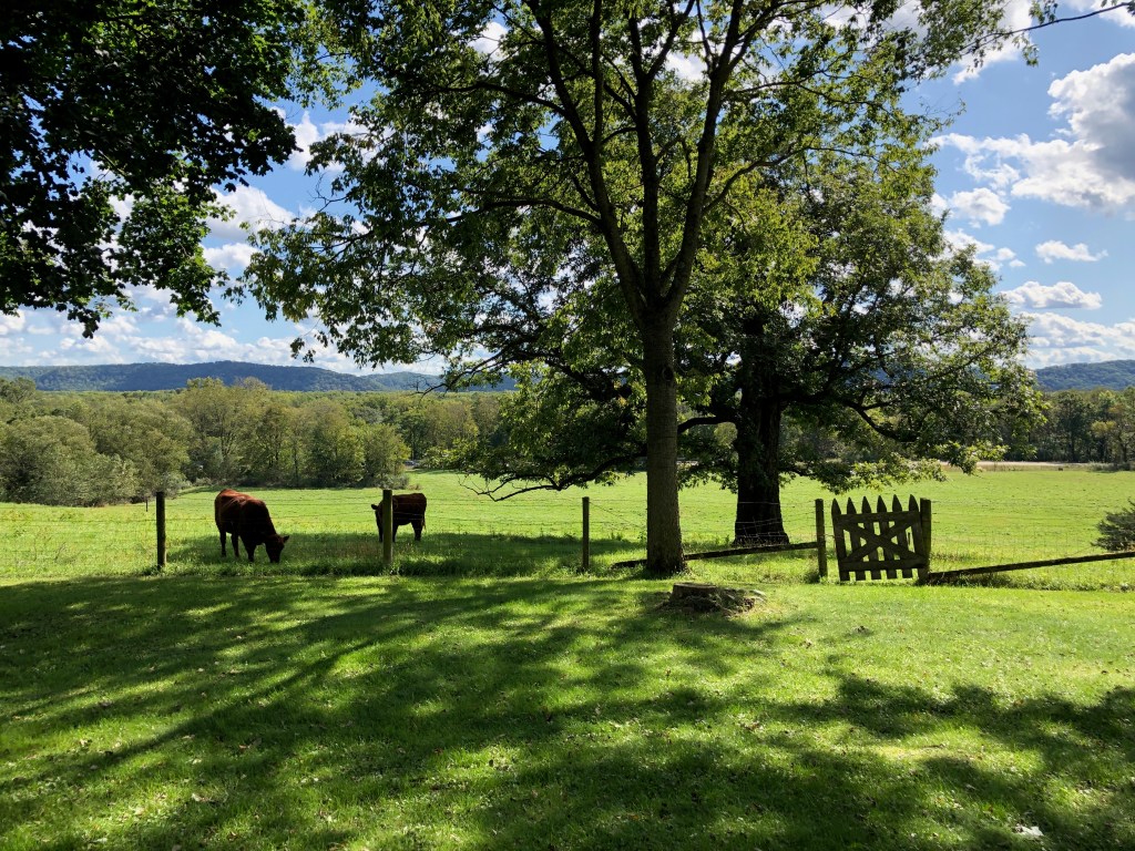 About – Crosscurrents Heritage Center